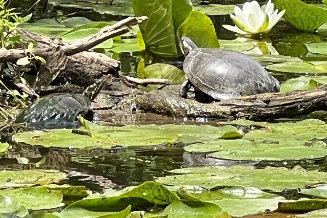 Buckhorn State Park nature hike, kayaking tour, and fishing - An Introduction to the Buckhorn State Park Tour