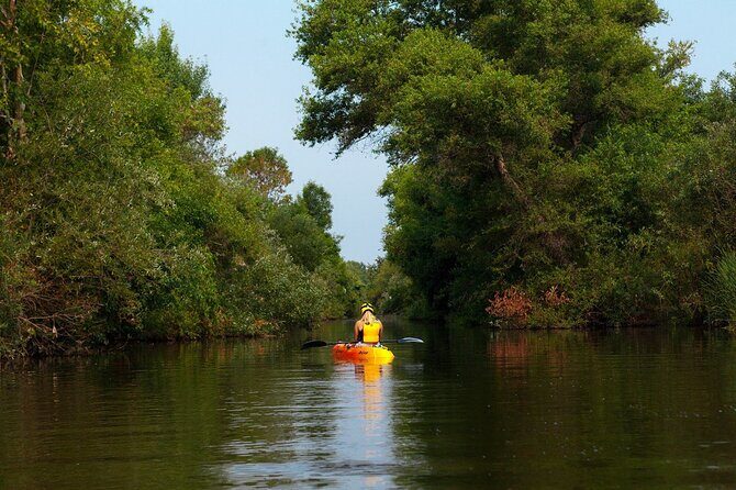 Buckhorn State Park nature hike, kayaking tour, and fishing - Authentic Experiences and Real Traveler Feedback