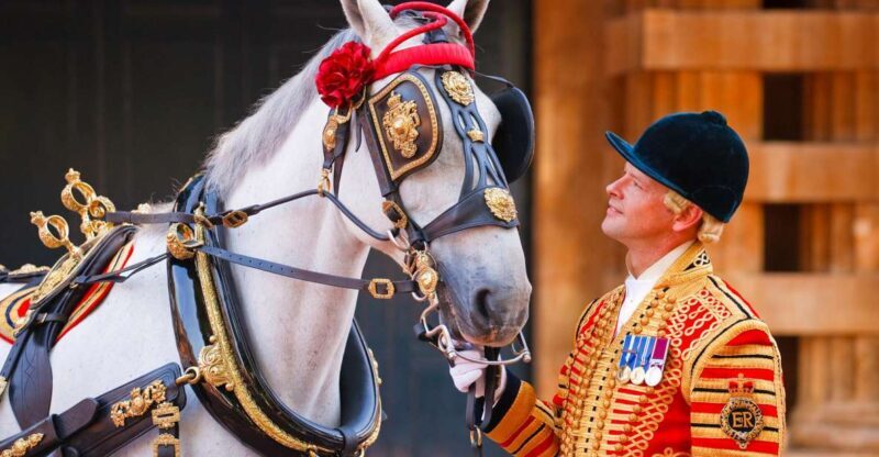 Buckingham Palace: The Royal Mews Entrance Ticket - What to Expect When Visiting The Royal Mews