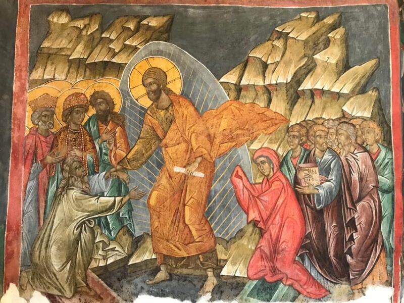 Bucovina Painted Monasteries Tour from Suceava/Gura Humor - FAQ: Your Practical Questions Answered