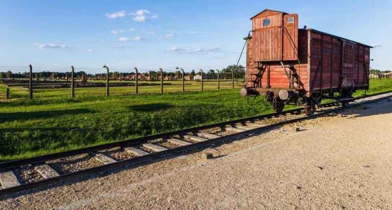 Budapest: Auschwitz Birkenau Private Day Tour - Who Is This Tour Best For?
