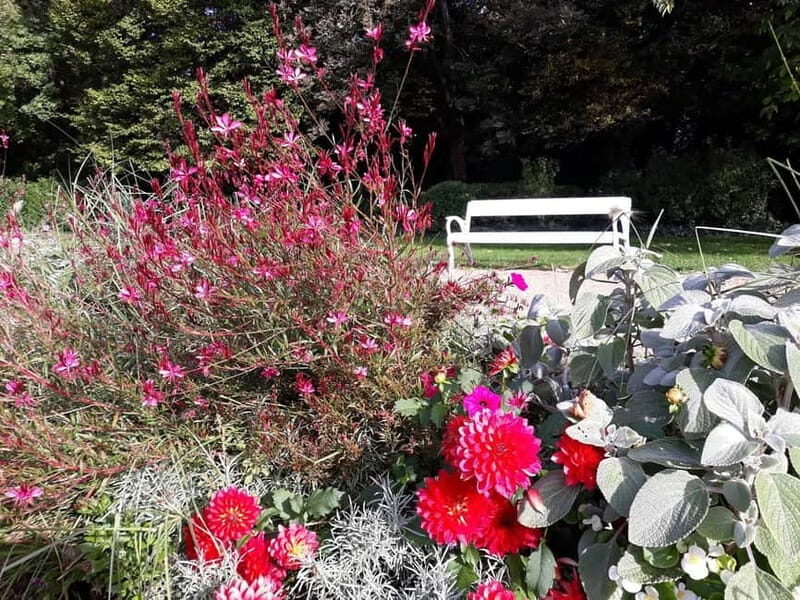 Budapest: Best Gardens Walking Tour & Hungarian Folk Music - An Ideal Introduction to Budapest’s Natural Beauty
