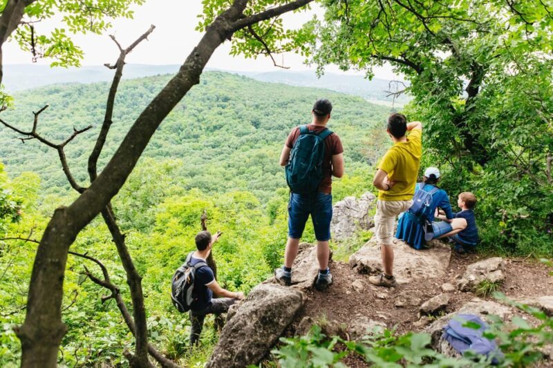 Budapest: Buda Hills Guided Hiking Tour with Optional Lunch - An In-Depth Look at the Experience