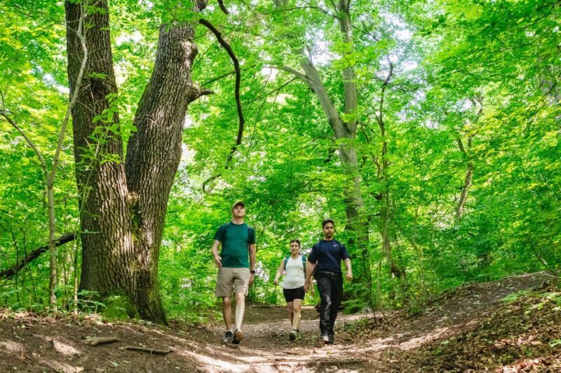 Budapest: Buda Hills Guided Hiking Tour with Optional Lunch - Authentic Experiences Based on Traveler Feedback