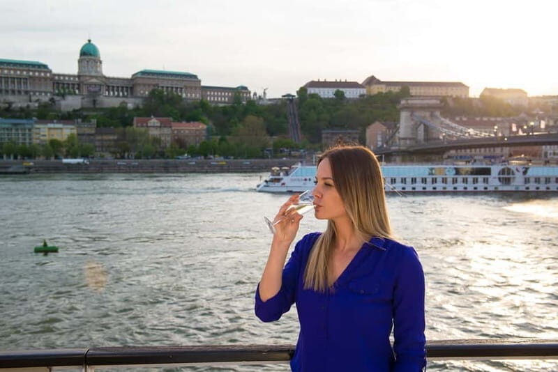 Budapest: Danube Cruise with Audioguide & Panorama Terrace - Why Choose a Danube Cruise in Budapest?