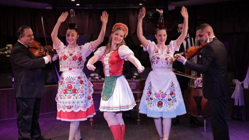 Budapest: Danube Cruise with Folk Dancing and Drinks - Who Should Consider This Tour?