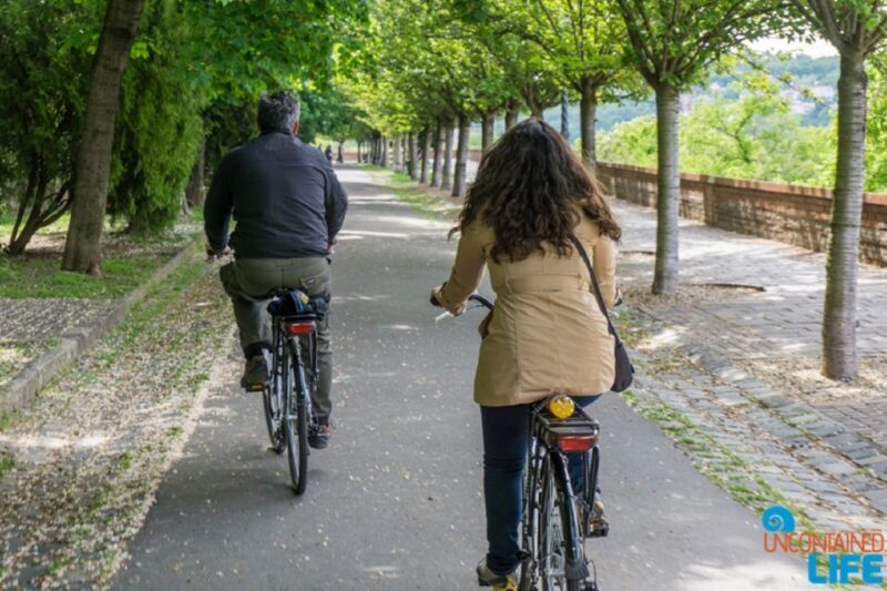 Budapest: E-Bike Guided Tour and Castle Hill - Key Points