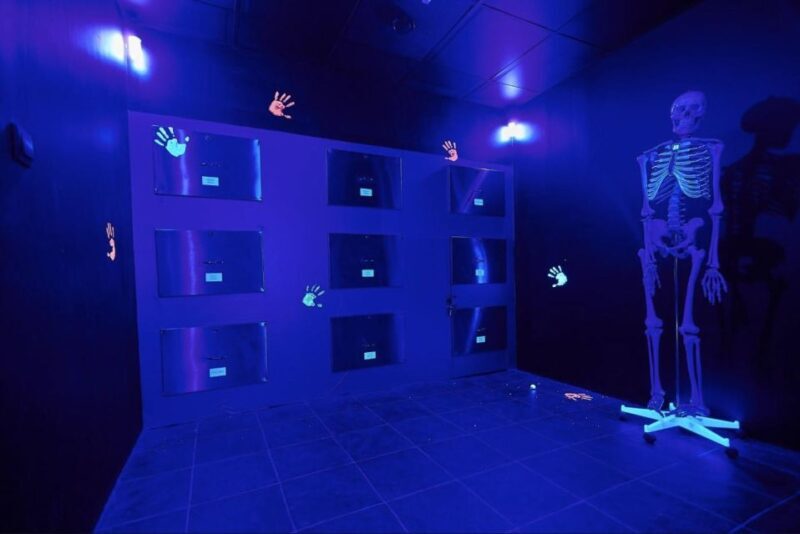 Budapest: Escape Room game, Secret Surgery - Who Will Love This Experience?