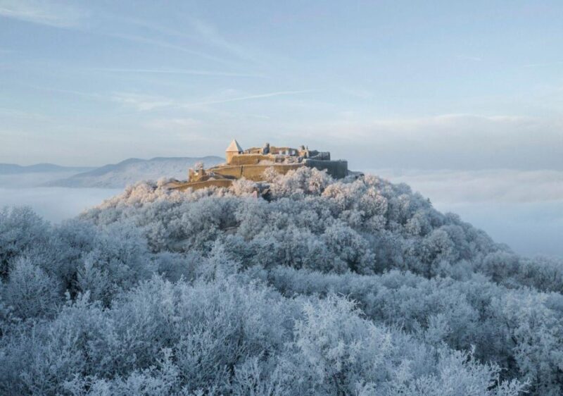 Budapest Hike to Visegrád Castle w or wo Sauna/Danube beach - Authentic Reviews and What They Reveal
