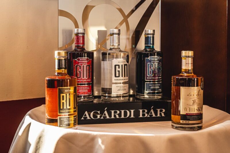 Budapest: Hungarian Whisky, Gin, and Pálinka Tasting - What to Expect from the Experience