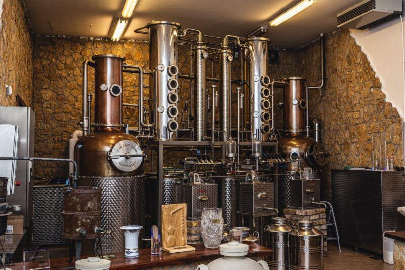 Budapest: Hungarian Whisky, Gin, and Pálinka Tasting - Authenticity and Educational Value