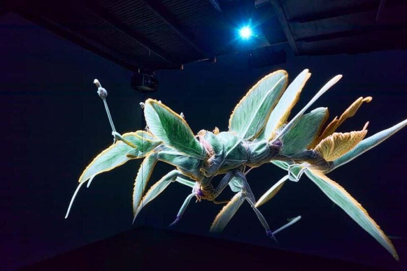 Budapest: Light Art Museum Skip-the-Line Entry Ticket - The Sum Up