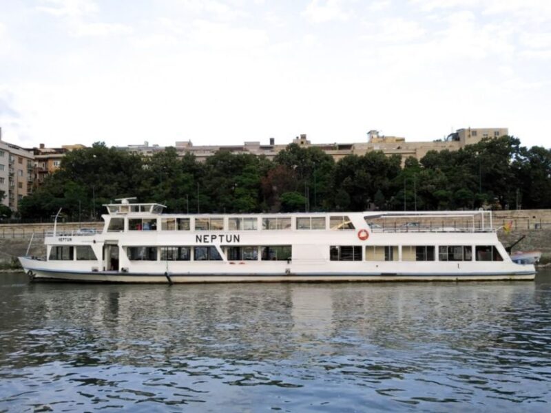 Budapest: New Years Eve Boat Cruise with Unlimited Drinks - Who Should Consider This Experience?