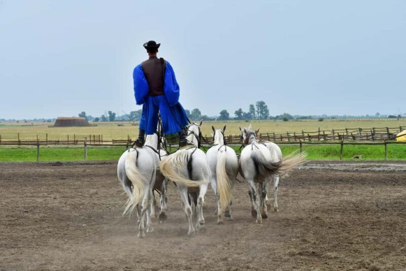 Budapest: Sisi Palace Tour with Hungarian Horse Show & Lunch - Practical Details