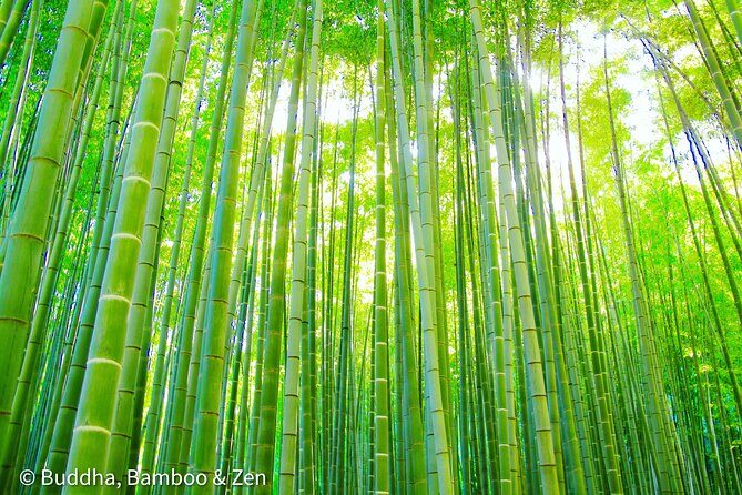 Buddha, Bamboo & Zen - Bespoke Kamakura Private Walking Tours - Who Would Love This Tour?