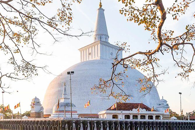 Buddhist Pilgrimage Tour (9 Days) - The Sum Up