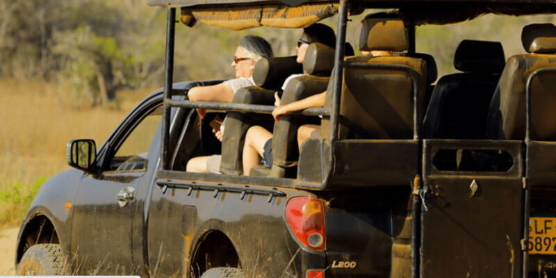 Budget Safari to Wilpaththu National Park from Anuradhapura - The Itinerary in Detail