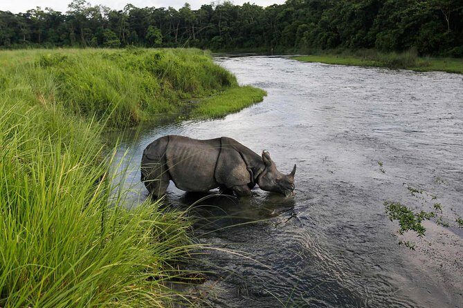 Budget Tour in Chitwan and Pokhara, Nepal - The Route and What It Means for You