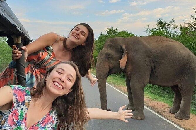 Budget Tours Sri Lanka with 7 Nights accommodation - An In-Depth Look at the Itinerary