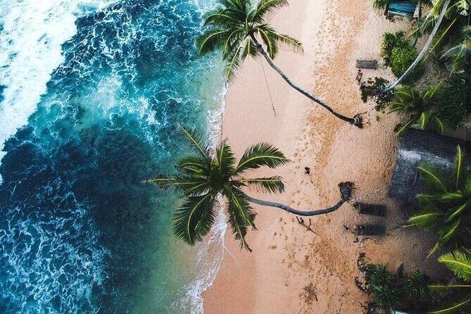 Budget Tours Sri Lanka with 7 Nights accommodation - Who Should Consider This Tour?