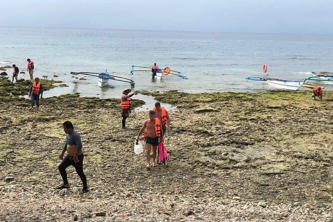 Budgeted Bohol Whale Shark - Additional Activities and Flexibility