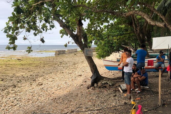 Budgeted Bohol Whale Shark - The Value for Money