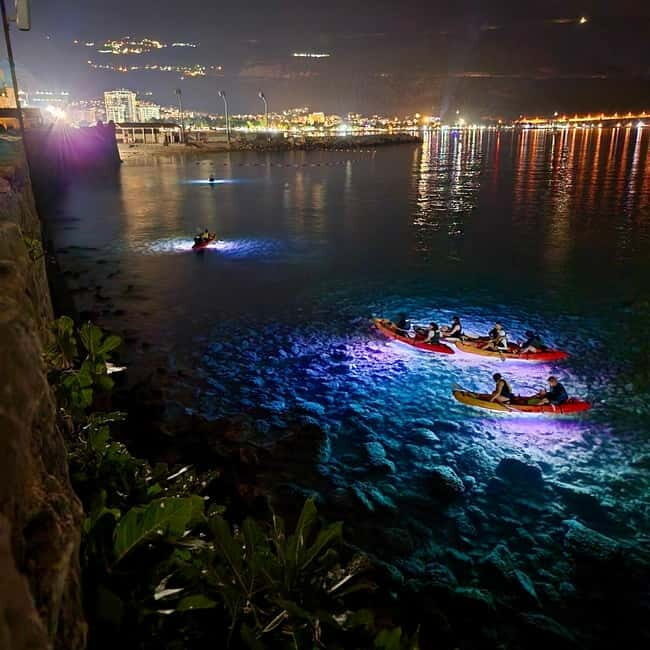 Budva: 2-Hour «Night Lights» Kayak Tour - The Itinerary in Detail