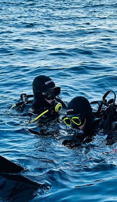 Budva: Scuba Diving Experience - Who Is This Tour Best For?