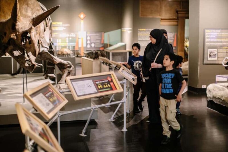 Buffalo: Admission Ticket to Buffalo Museum of Science - What to Expect on Your Visit