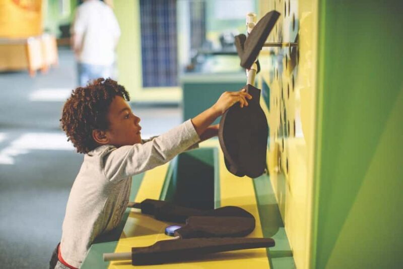 Buffalo: Admission Ticket to Buffalo Museum of Science - Authentic Visitor Feedback