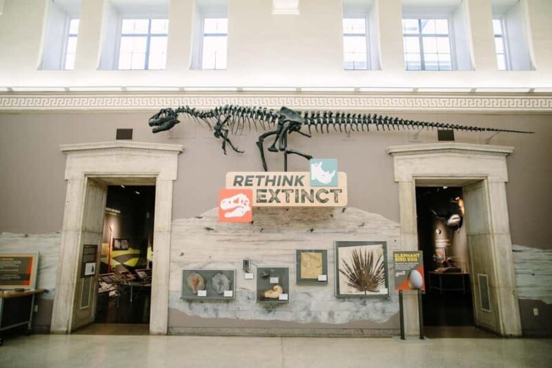 Buffalo: Admission Ticket to Buffalo Museum of Science - Pricing and Value