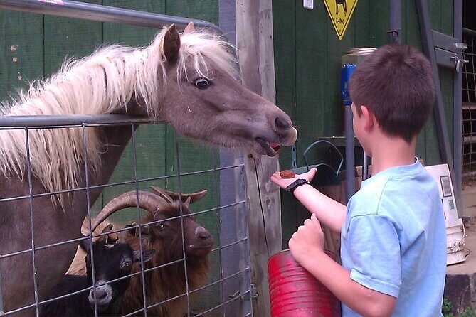 Buffalo Creek Ranch Tour Experience - Who Would Enjoy This Tour?