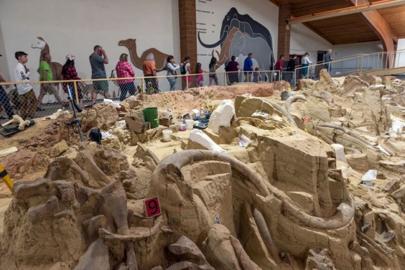 Buffalo Jeep Safari & Mammoth Site Tour - Key Points