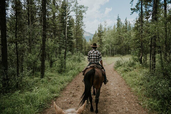 Buffalo Loop 1-Hour Horseback Trail Ride in Kananaskis - Practical Tips for Visitors