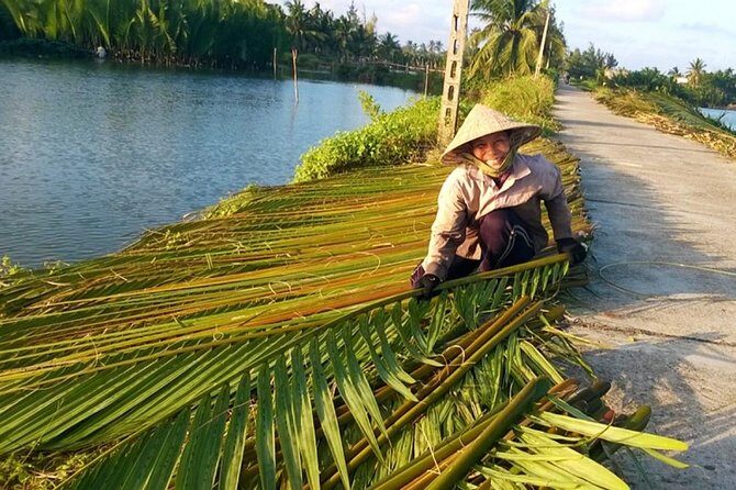 Buffalo riding and Basket Boat Half Day Tour - Introduction: An Authentic Countryside Experience in Hoi An
