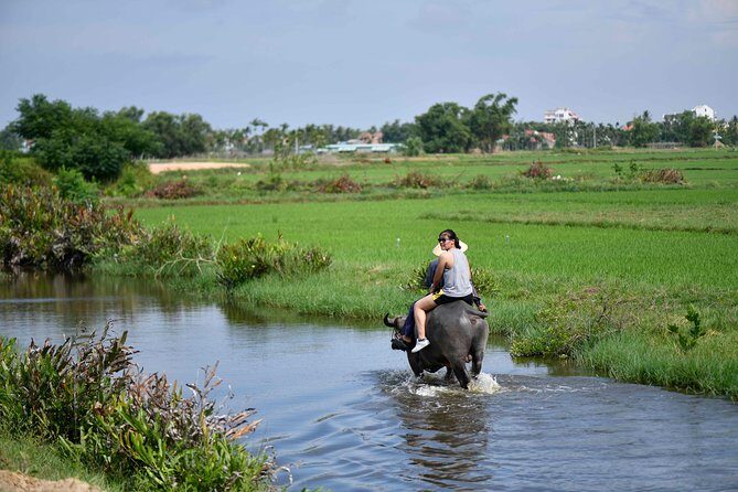 Buffalo Riding and basket boat tour from Da Nang/ Hoi An - The Highlights and Why They Matter