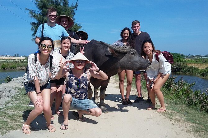 Buffalo Riding and basket boat tour from Da Nang/ Hoi An - Who Will Enjoy This Tour?