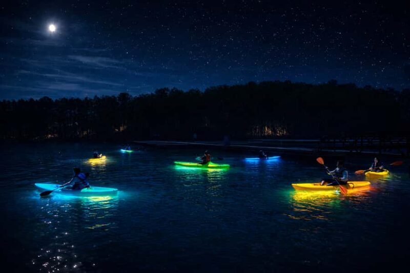 Buford: Lake Lanier Glow and Go Paddleboards & Kayaks - Who Is This Tour Best For?