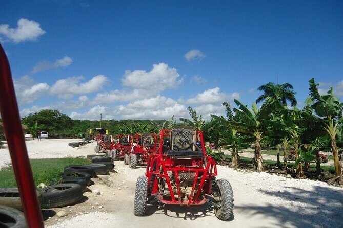 Buggies Half Day Experience and Cenote - Practical Tips for Participants