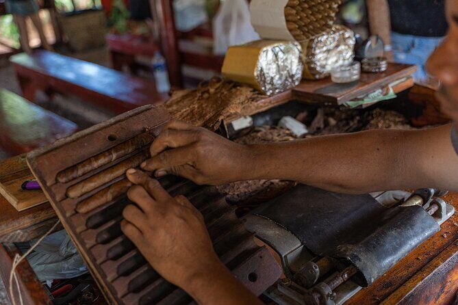 Buggies Off Road Extreme From Punta Cana - Practical Details and Value