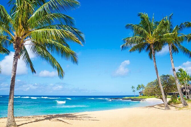 Bugguies Groups Adventure - Who Should Take This Tour?