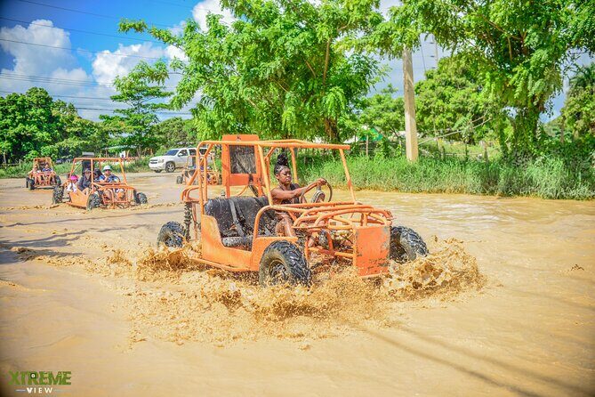 Bugguies in Punta Cana - The Experience from Reviews and Insights