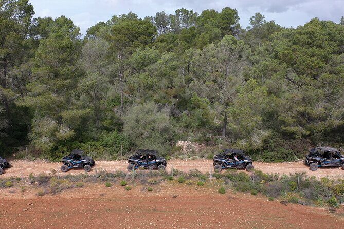Buggy 2-seater and 4-seater Off-On Road Tour in Mallorca - An In-Depth Look at the Mallorca Buggy Tour