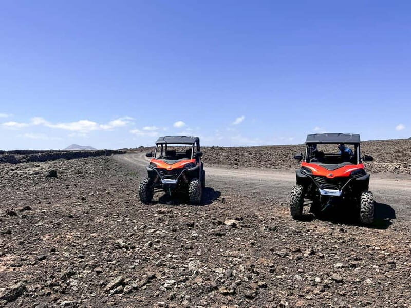 Buggy 4 pazas Corralejo Fuerteventura - What Do Travelers Say? Honest Feedback