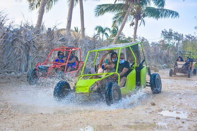Buggy Adventure and Cave Swim from Punta Cana - Key Points