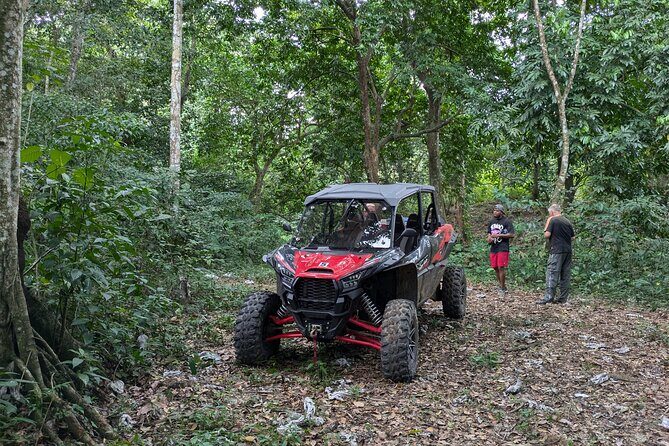 Buggy Adventure at Dominican Countryside - Who Will Love This Tour?
