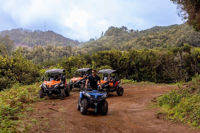 Buggy Adventure in Madeira off Road - Analyzing the Value and Practicality