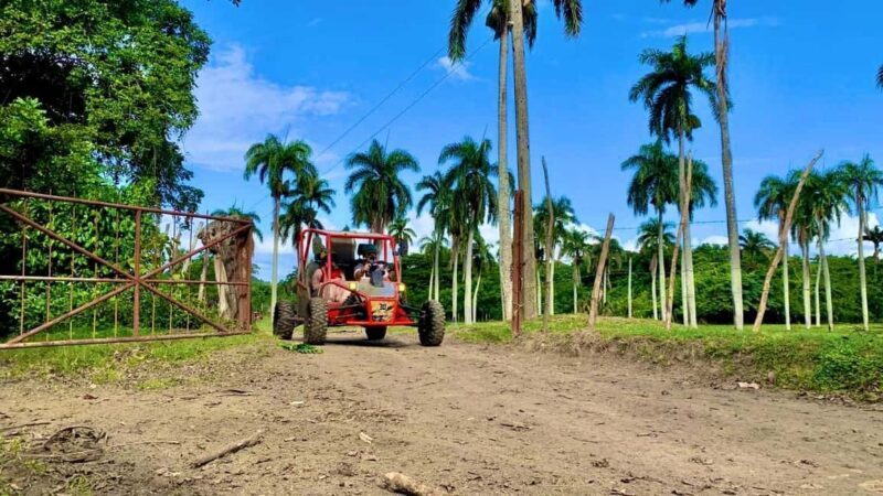 Buggy Adventure in Puerto Plata - Authenticity and Value