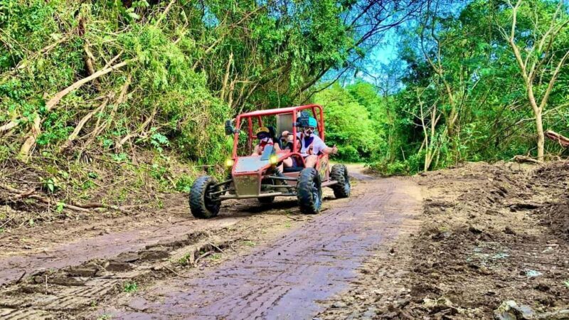 Buggy Adventure in Puerto Plata - Who Should Consider This Tour?