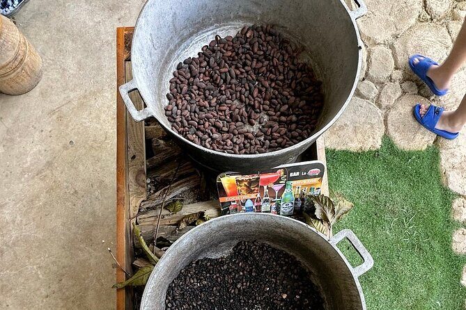 Buggy Adventure Tour with Chocolate and Coffee in Punta Cana - Key Points